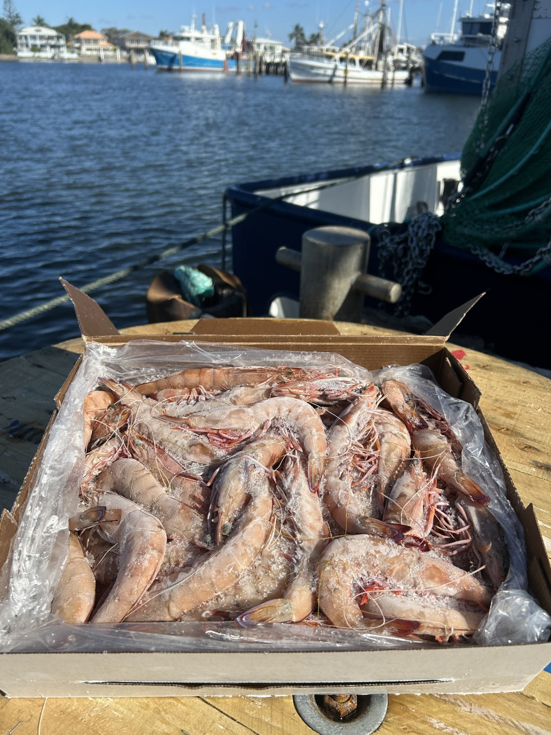 Prawns – Conway Fresh Online