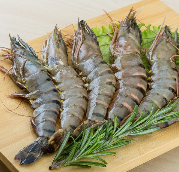 Prawns Whole Raw Shark Bay W.A U8 Tigers – Conway Fresh Online