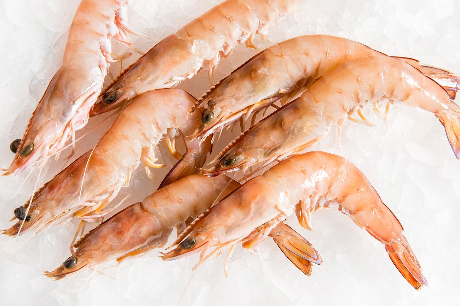 Prawns – Conway Fresh Online