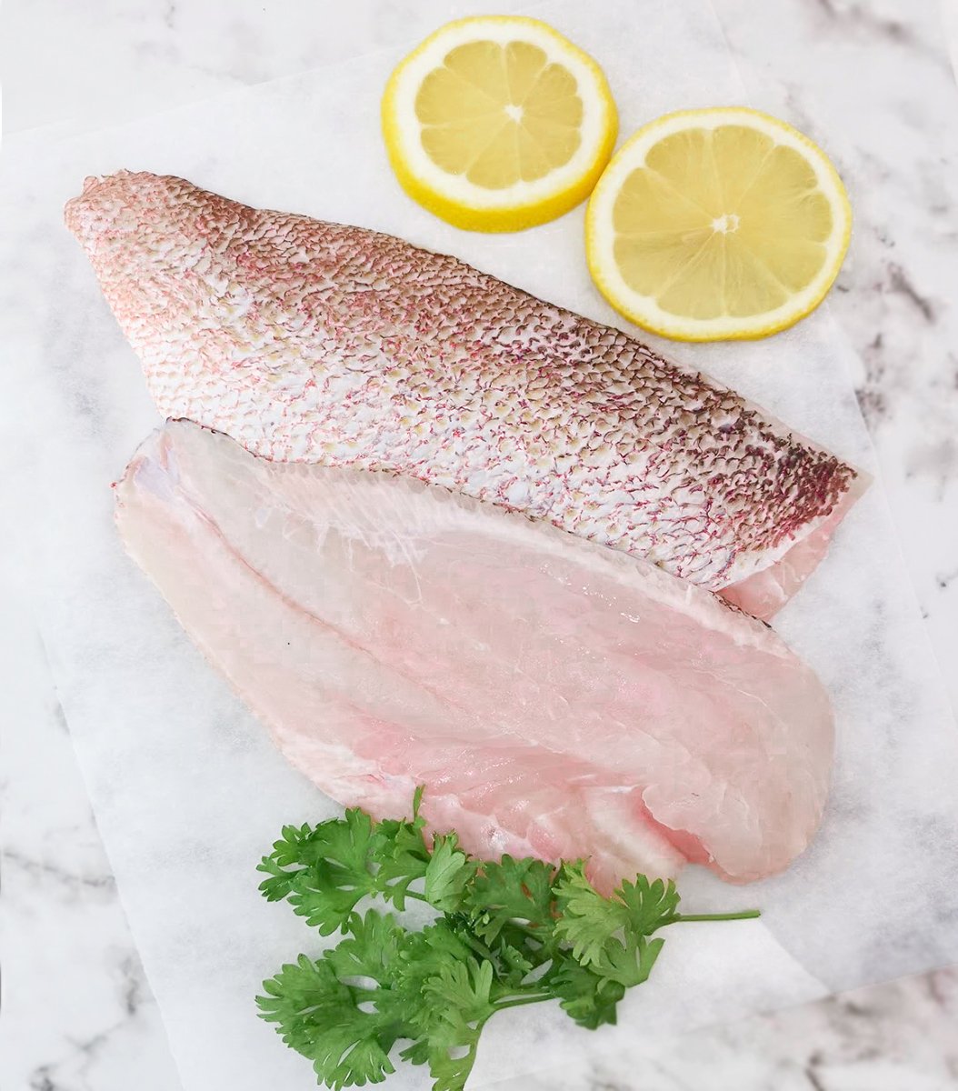 Snapper Fillets – Conway Fresh Online