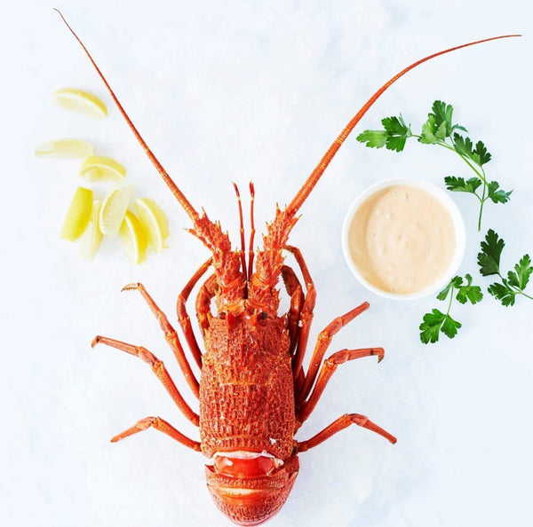 Crayfish Whole Cooked – Conway Fresh Online