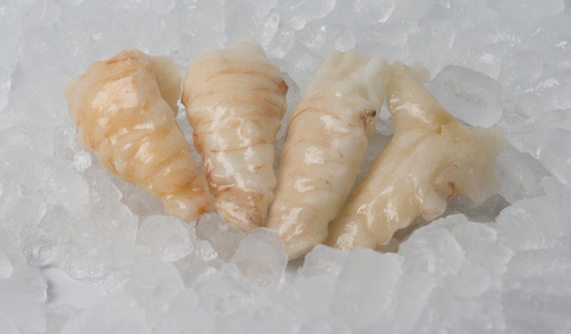 Bug Meat Raw Moreton Bay – Conway Fresh Online