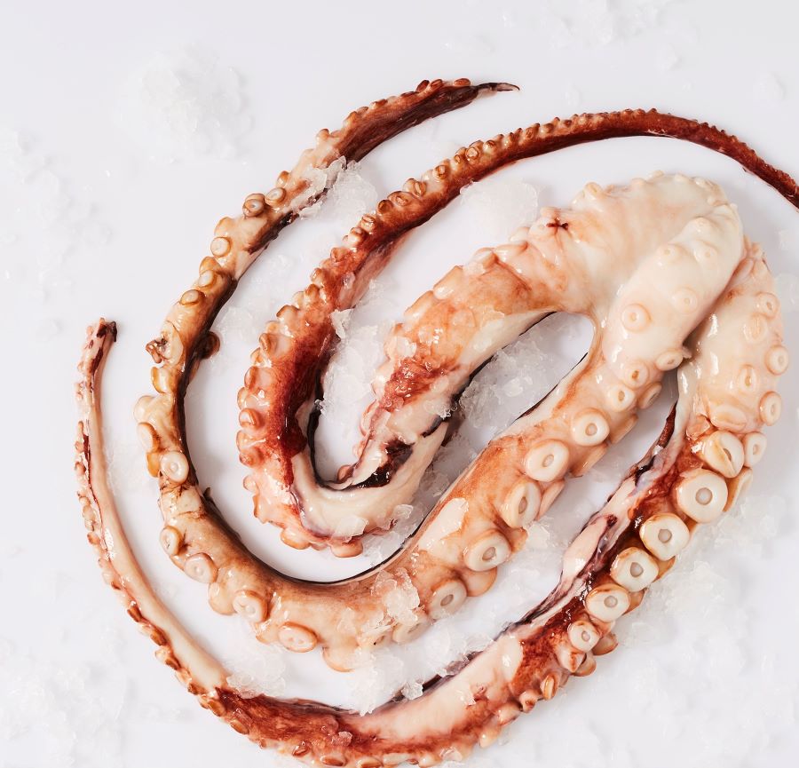 Octopus Legs – Conway Fresh Online